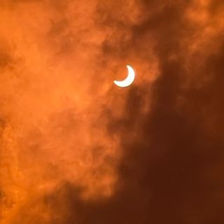 Helena Haro - actress - biography, photo, best movies and TV shows