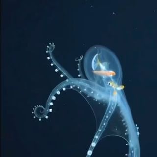 Yvette Parsons - actress - biography, photo, best movies and TV shows