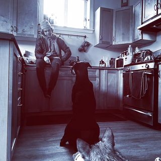 Jedidiah Goodacre - actor - biography, photo, best movies and TV shows