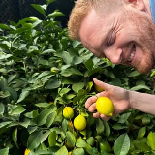 Jack Wallace - actor - biography, photo, best movies and TV shows