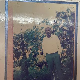 Helena Haro - actress - biography, photo, best movies and TV shows