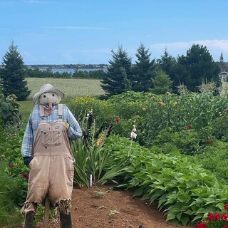 Eve Edwards - actress - biography, photo, best movies and TV shows