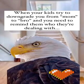 Alison Lohman - actress - biography, photo, best movies and TV shows