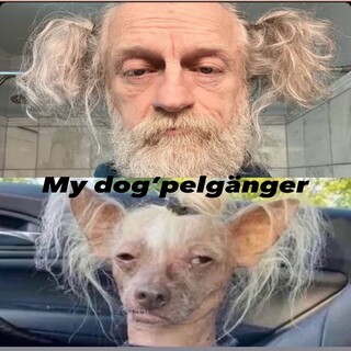 Russell Hodgkinson - actor - biography, photo, best movies and TV shows