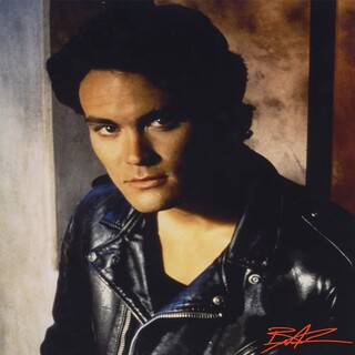 Brandon Lee - actor - biography, photo, best movies and TV shows