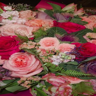 Anna Peresild - actress - biography, photo, best movies and TV shows