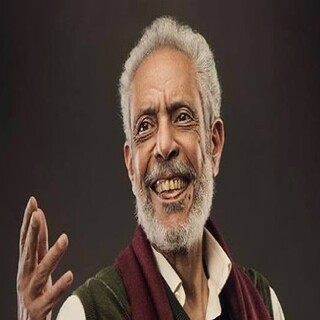 Mohamed Emam - actor - biography, photo, best movies and TV shows