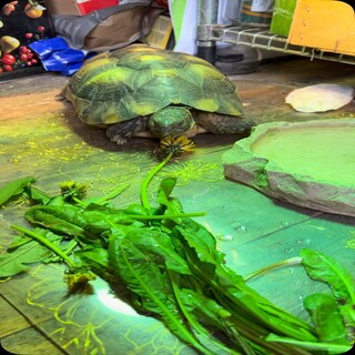 Simon Kunz - actor - biography, photo, best movies and TV shows