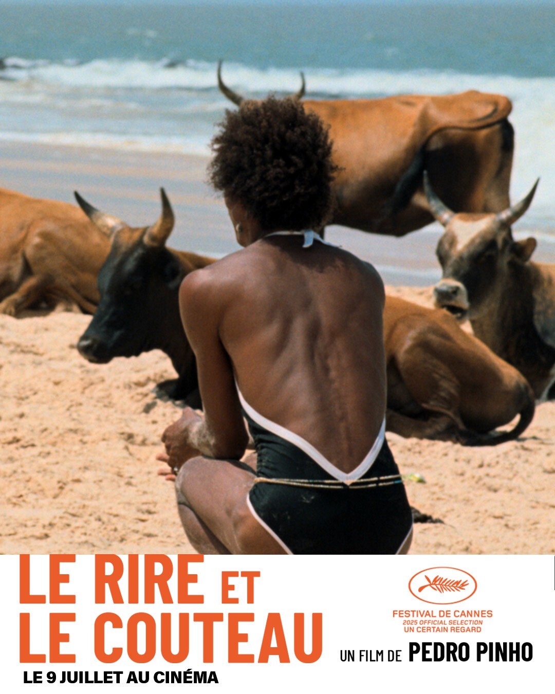 O Riso e a Faca (фильм, 2025)