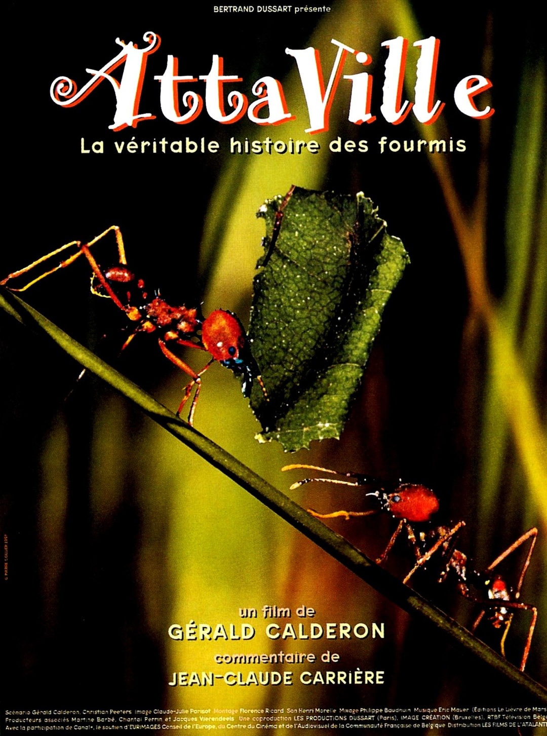 Attaville, la véritable histoire des fourmis (movie, 1998)