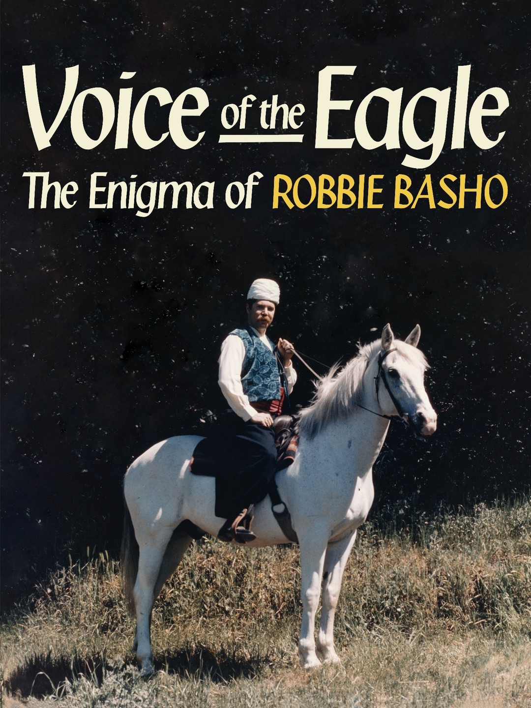 Voice of the Eagle: The Enigma of Robbie Basho (фильм, 2015)