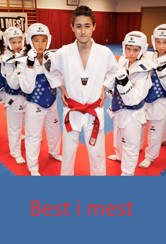 Best i mest (series, 2013 – 2014)