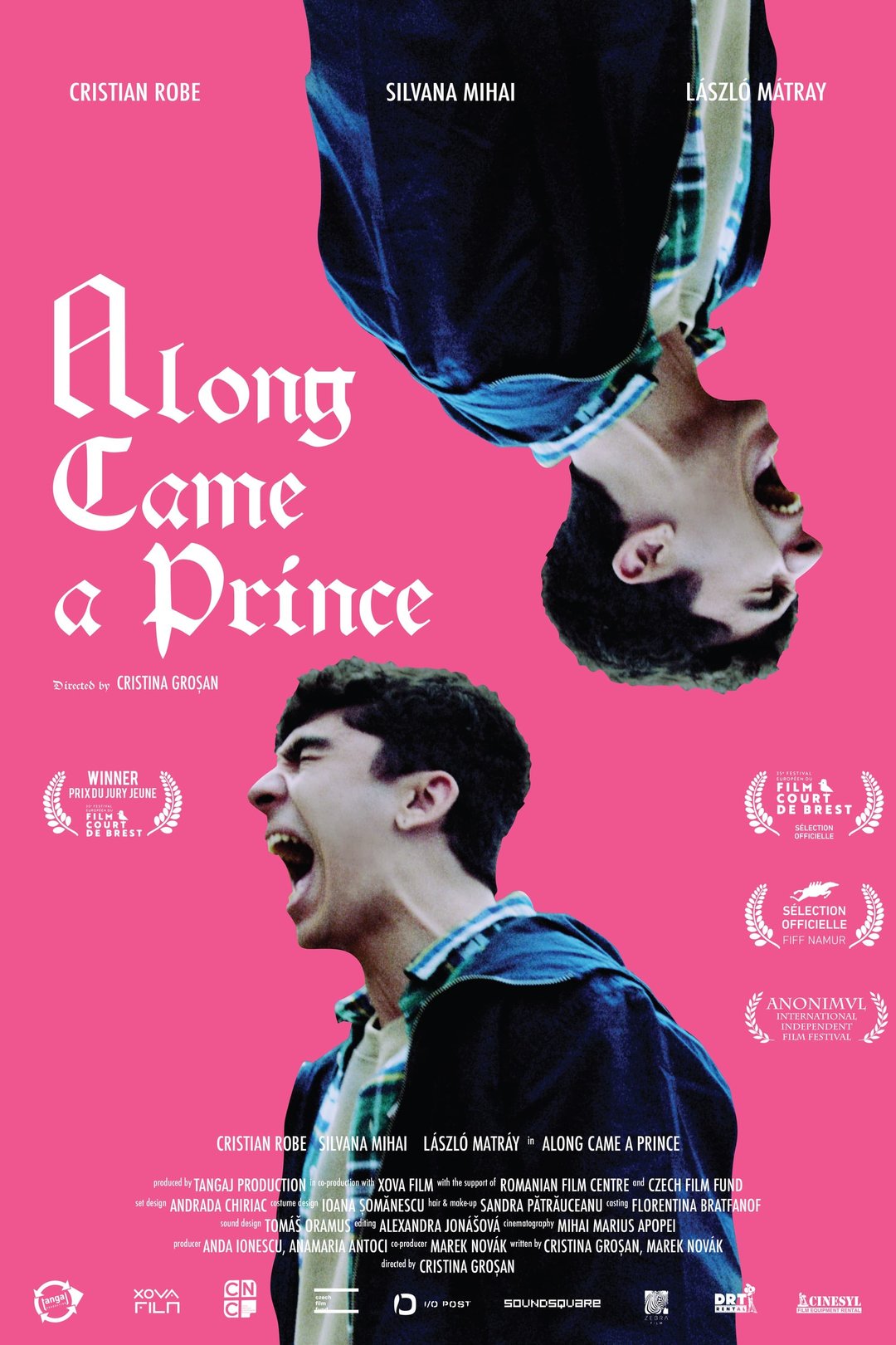 Along Came a Prince (movie, 2020)