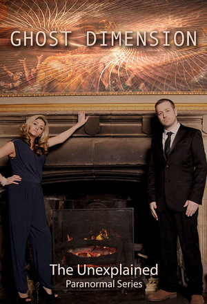 Ghost Dimension (сериал, 2016)