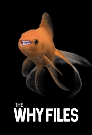 Episodes - The Why Files
