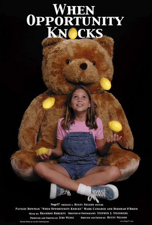 When Opportunity Knocks (фильм, 2001)