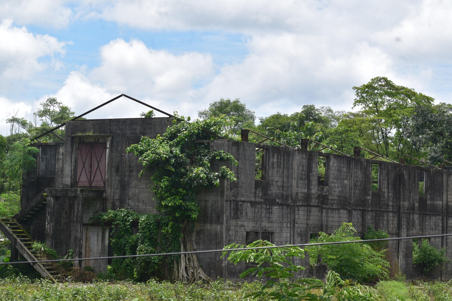 Stree 2 (movie, 2024)