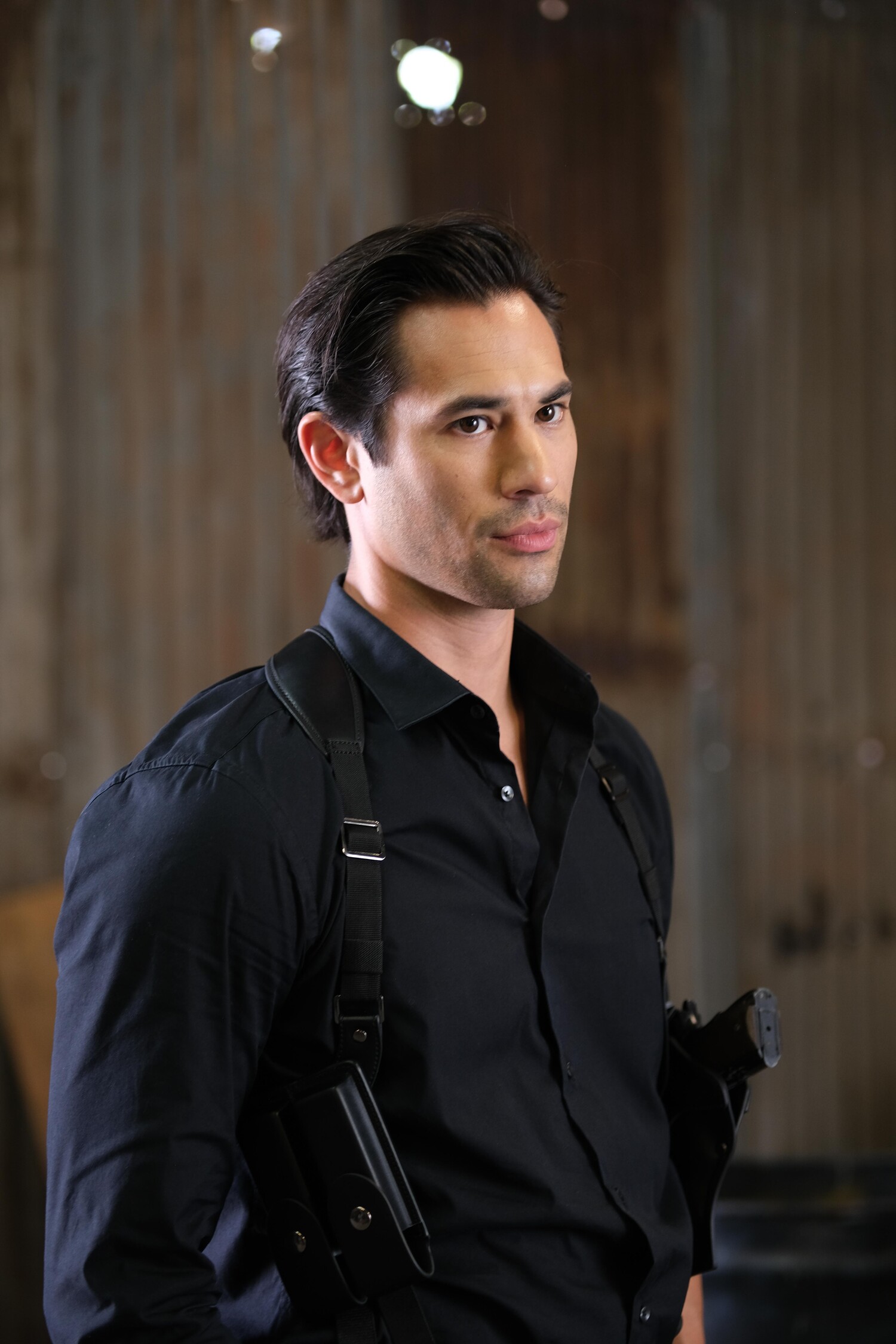 My Secret Agent Husband (series, 2024)