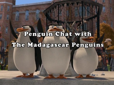 Filming - Madagascar