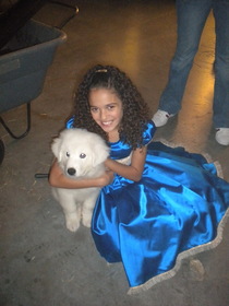 Filming - The Search for Santa Paws