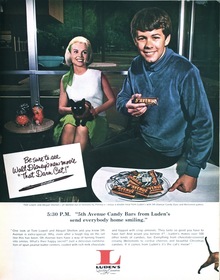 Tom Lowell - actor - biography, photo, best movies and TV shows