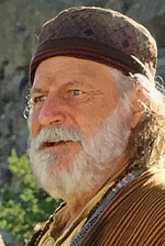 Rade Serbedzija Batman Begins