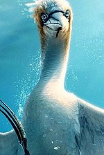 Cast - The Little Mermaid (2023)