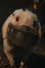 Cast - Guardians of the Galaxy Vol. 3 (2023)