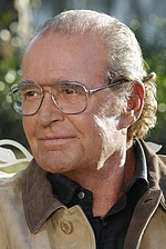 Cast - The Notebook (2004)