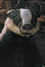 Cast - The Chronicles of Narnia: Prince Caspian (2008)