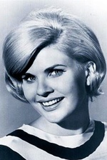 Cast - Ironside (1967 – 1975)