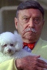 Cast - The 'Burbs (1989)