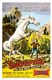 Posters - Snowfire