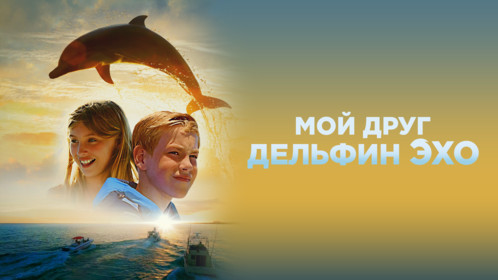 Posters - Dolphin Kick