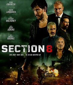 Posters - Section 8