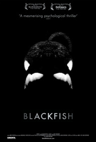 Posters - Blackfish