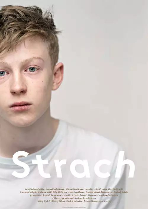 Strach (movie, 2013)