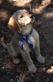 Промо - Принцы воздуха