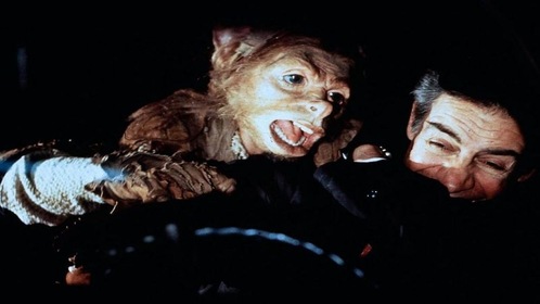 Screenshots - A Gnome Named Gnorm