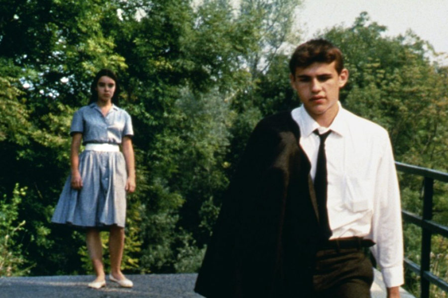 Wild Reeds (movie, 1994)