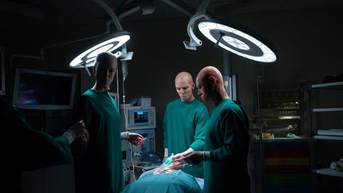 Subservience (movie, 2024)