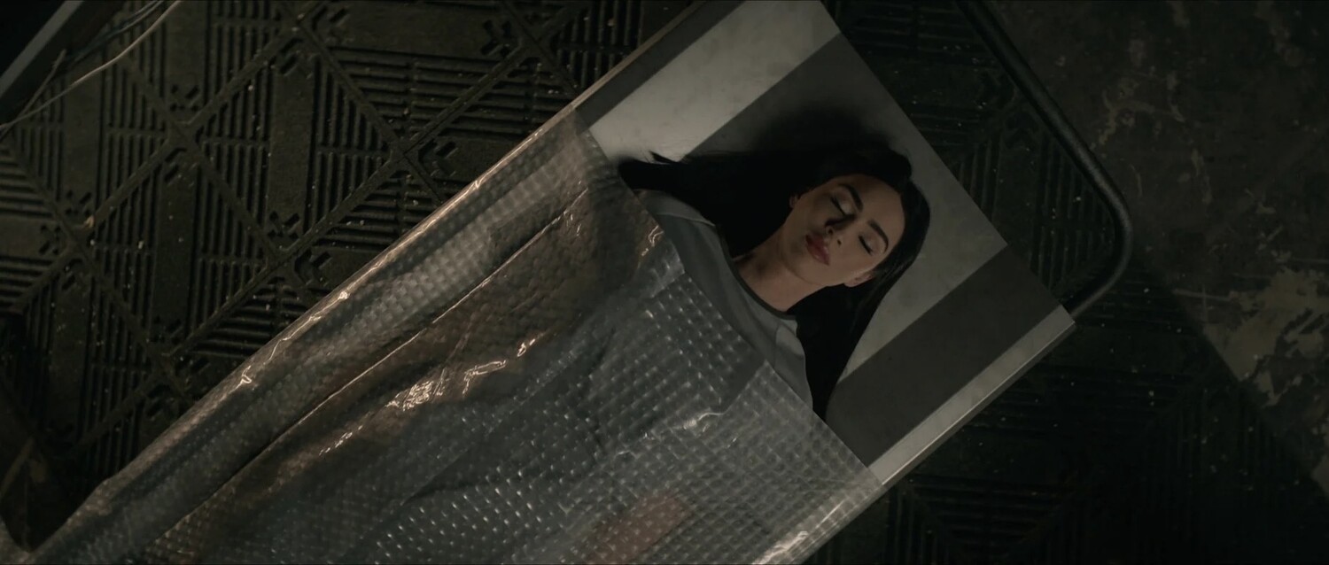 Screenshots - Subservience