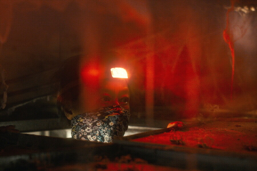 Infested (movie, 2023)