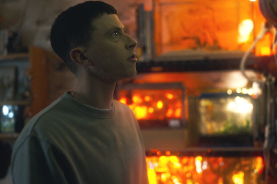 Infested (movie, 2023)