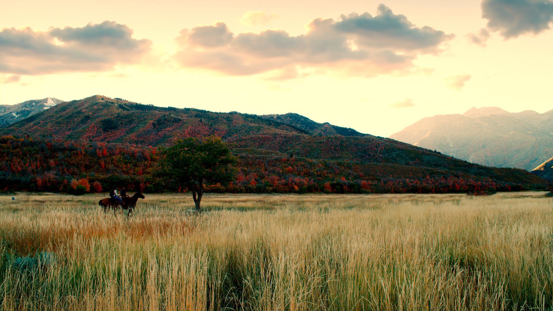 Suzanne Pereira - actress - biography, photo, best movies and TV shows