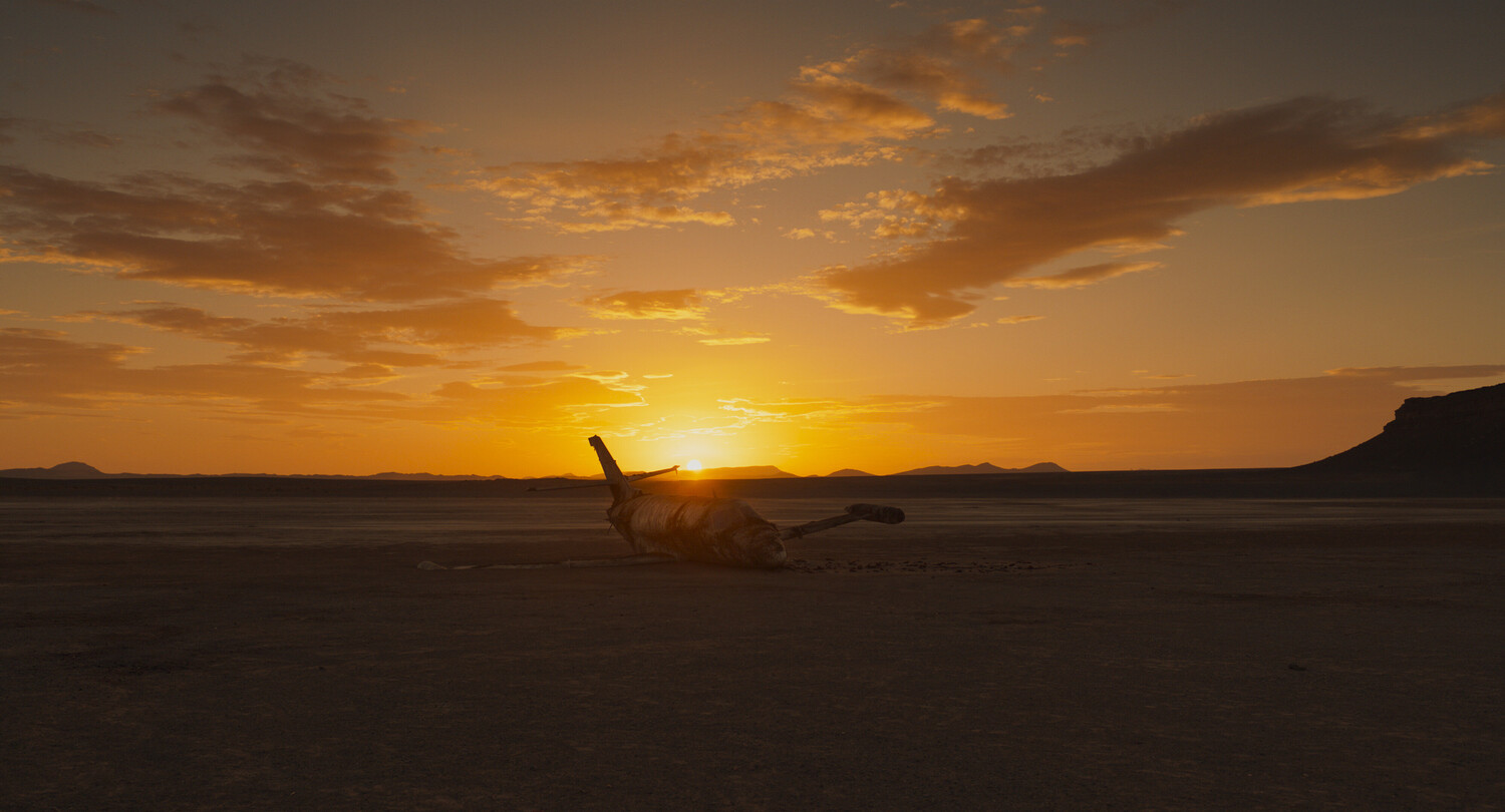 Survive (movie, 2024)