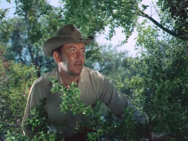 Screenshots - The Ramrodder