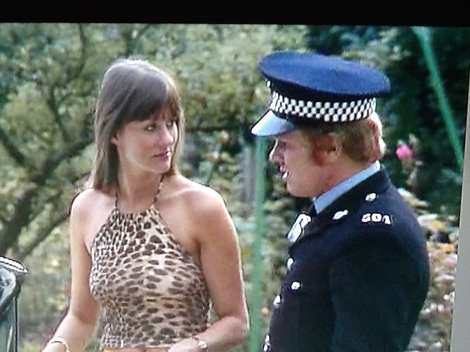 Judy Matheson - actress - biography, photo, best movies and TV shows