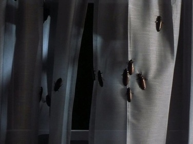 Screenshots - Bug Buster