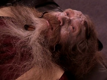 Screenshots - Bug Buster